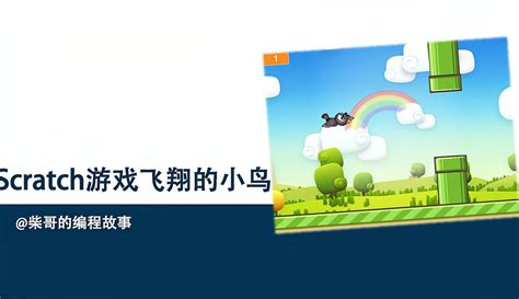 用户 e dcc dScratch编程飞翔的小鸟游戏制作 二 水管代码讲解 作品数 教育视频 免费在线观看 爱奇艺