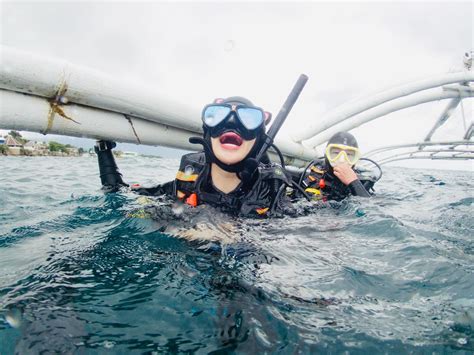 스쿠버다이빙 잠실스쿠버스쿨 커다란 대왕조개 보러 따뜻한 동남아 바다로~ 🐚🌊 잠실스쿠버스쿨과 함께하는 특별한 해외 투어 눈앞에서 펼쳐지는 거대한 대왕조개의 장관