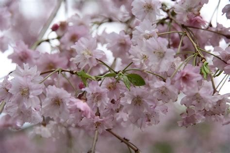 We Lab Project We Lab Project Added A New Photo