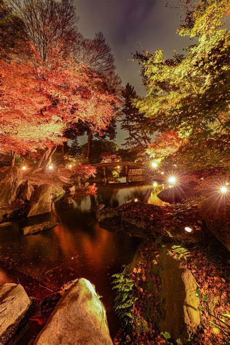 ハスカップ07 on Twitter 六義園の紅葉ライトアップが美しかった https t co 4UwUDh09Jp Twitter