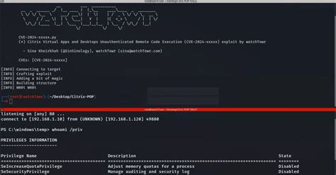 Omvapt On Linkedin Vulnerabilities Flaws Citrix Virtualapps Rce