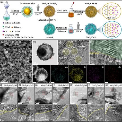 Universal Synthesis And Morphology Characterization Of Dual‐component