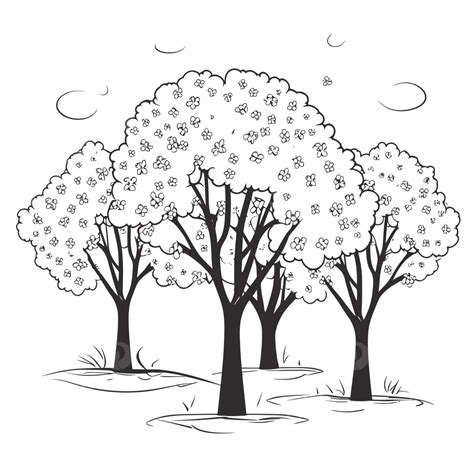 나무 개요 스케치의 흑백 드로잉 벡터 벚꽃 나무 그리기 벚꽃 나무 개요 벚꽃 나무 스케치 Png 일러스트 및 벡터 에