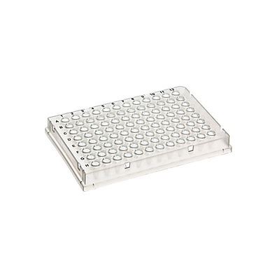 384 Well Pcr Plates 2 Notch A24 P24 Clear Arrowhead Forensics