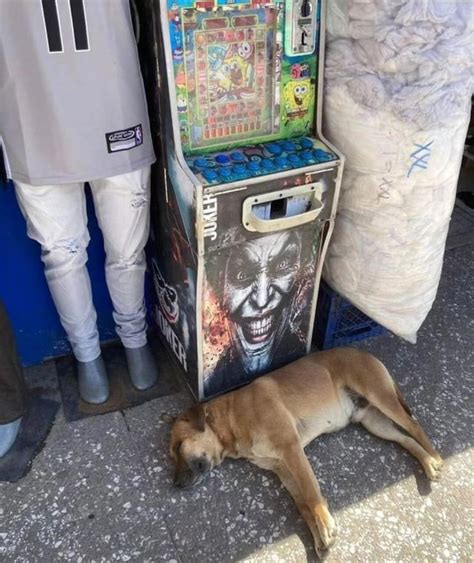 Is There A Lore Reason Why The Jonkler Is Trapped In A Arcade Is He