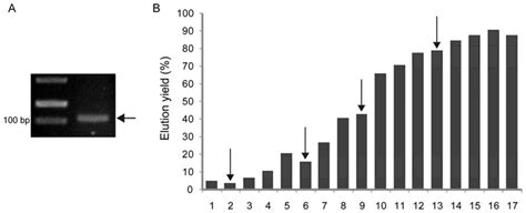 Nucleic Acid Aptamer Forhighly Specifically Detecting Legionella Pneumophila As Well As