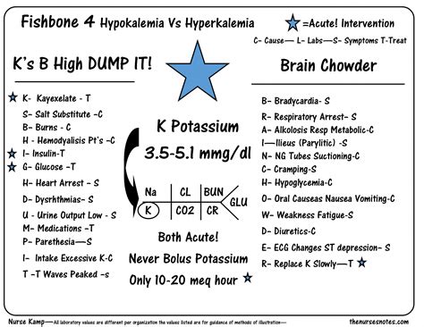 This Is The Fourth In The Series Of Fishbones I Am Working On Exploring Hyperkalemia And This Is The Fourth In The Series Of Fishbones I Am Working On Exploring Hyperkalemia And