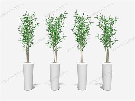 Indoor Bamboo Tree Plant Sketchup 3d Model Skp File Download Sketchupbox