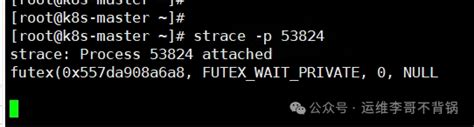 8个常用的linux性能监测和排查命令，你掌握了几个？零基础入门到精通，收藏这篇就够了 性能测试linux常用命令 csdn博客
