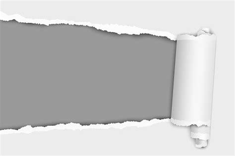 종이 컬 부드러운 그림자와 어두운 회색 배경의 흰 종이에 왼쪽에서 오른쪽으로 찢어진 길쭉한 구멍 벡터 종이 템플릿입니다 0명에 대한 스톡 벡터 아트 및 기타 이미지 Istock