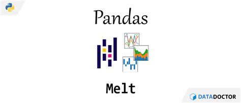Py 기초 Pandas Melt Data Doctor