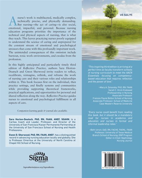sigma marketplace reflective practice third edition