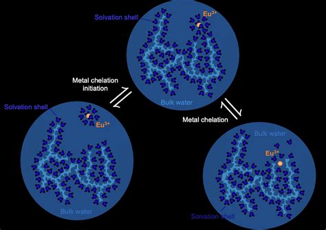 Polymer Design For Metal Chelation Welborn Group
