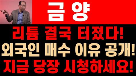 리튬 결국 터졌다 금양 외국인 매수 이유 공개 지금 당장 시청하세요 Youtube