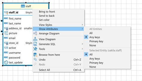 Erd Schemas Show Attribute · Issue 4814 · Dbeaverdbeaver · Github