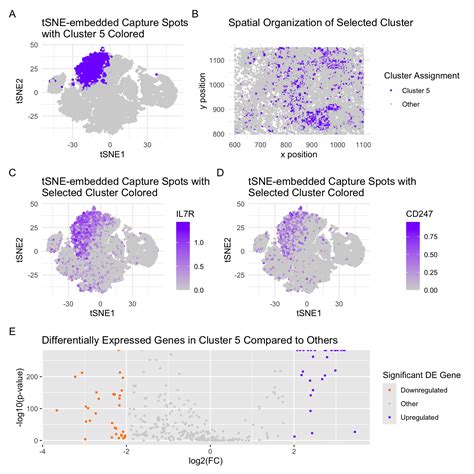 Validating Sequencing Based 10x Visium Identification Of T Cell Population With Imaging Based