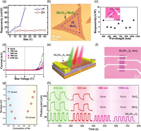 Phase‐engineered 2d Tmd‐based Photodetector And Photovoltaic Devices Download Scientific