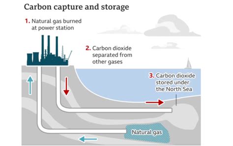 Carbon Capture What Is It How Does It Fight Climate Change Natural World Fund