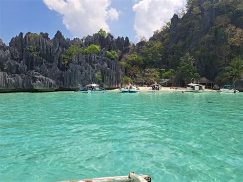 Дивите острови на Филипините плуване с китови акули и гмуркане в коралови рифове Галерия