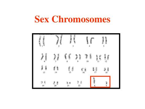 Ppt Medical Genetics Powerpoint Presentation Free Download Id3215453