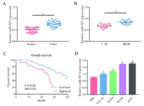 Upregulation Of Mir 587 In Nsclc A Higher Level Of Mir 587 In Nsclc Download Scientific
