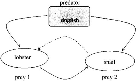 Dynamics Of A Model Three Species Predator Prey System With Choice Semantic Scholar