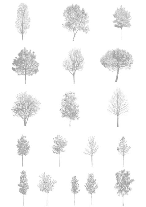 660 Presentation Ideas In 2025 Architecture Presentation Architecture Design Presentation