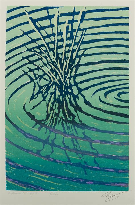 Lin Onus Classic And Experimental Prints Leonard Joel Auctions