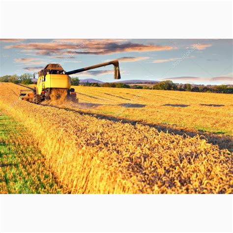 Продам земельный участок сельскохозяйственного назначения 2 га Днепр Сельскохозяйственные