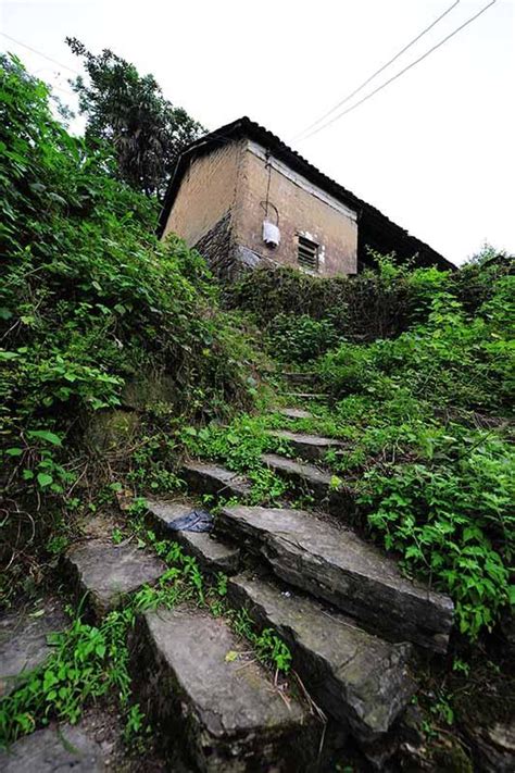遠上寒山石徑斜白雲深處有人家深山裏的農家樂 每日頭條