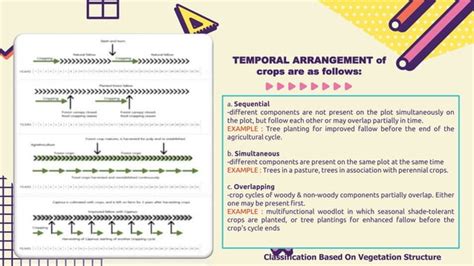 Definitions And Classification Of Agroforestry Systems Pptx
