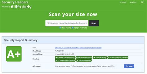 Releases · Nuxt Security
