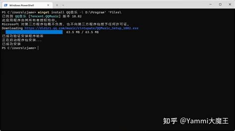 如何使用winget彻底替代各种管家的软件管理工具 知乎 如何使用winget彻底替代各种管家的软件管理工具 知乎
