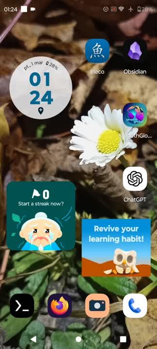 Filip Bogacz On Linkedin Ai Llm Llamacpp Qwen Deepseek Coder Termux App Android Ml Gguf