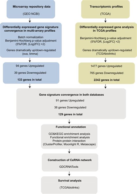 Flowchart For Bioinformatics Analysis Of Publicly Available Data From