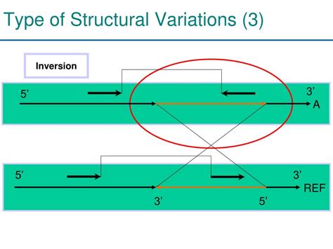 Ppt High Throughput Sequencing Technologies And Applications Powerpoint Presentation Id 414733