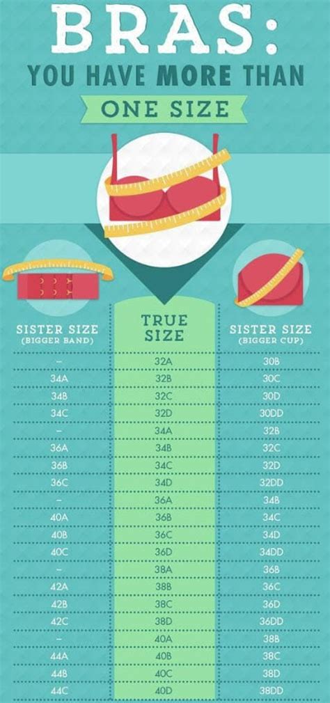 Breast Size Comparison Calculator
