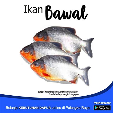 Bawal Tawar Setengah Kg Fresh Express