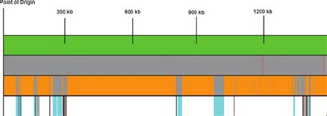 Linear Representation Of The Dehalococcoides Ethenogenes 195 Genome