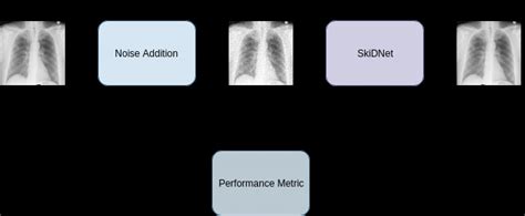 Figure Depicting The Proposed Experiment Gaussian Salt And Pepper And Download Scientific