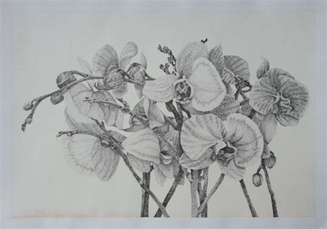 Orchids By Anastasiia Astapenko Is A Beautiful Piece Of Ink Pen On Paper… Arts Artists Artwork