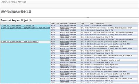 后端 动手开发一个有用的 ABAP ALV 工具 查看指定用户的 ABAP 传输请求模拟 SE 事物码 待注销 SegmentFault 思否
