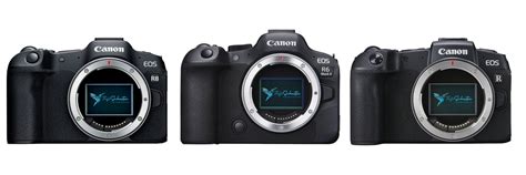 Verschillen Tussen De Canon Eos R De R Mark Ii En De Rp