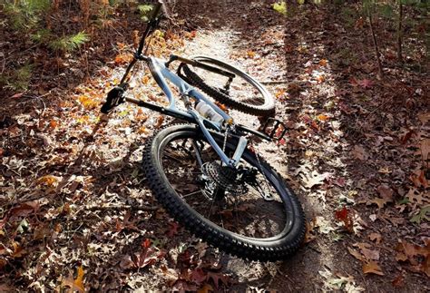 Leaf Math The Cycling Independent