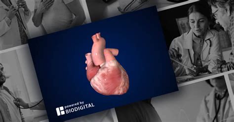 Biodigital Biodigital Developer Toolkits