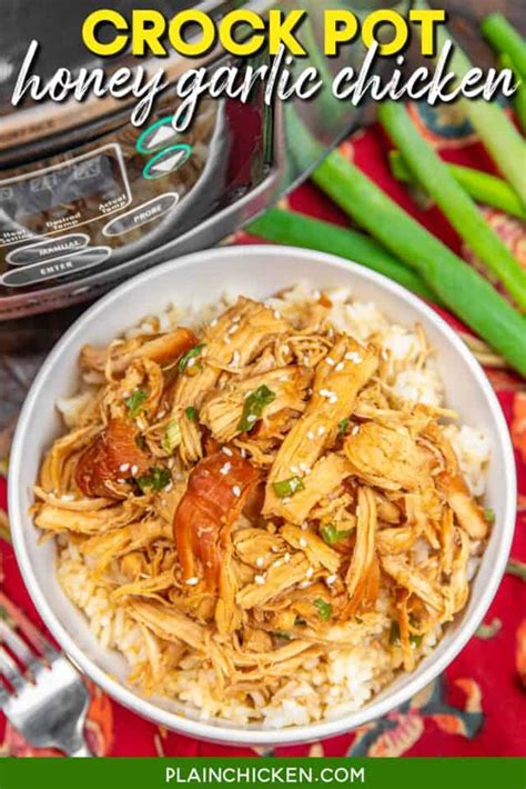 Crock Pot Honey Garlic Chicken Plain Chicken