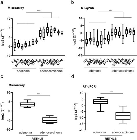 Validation Of Microarray Data By RT QPCR A Microarray Data Of The 10 Download Scientific