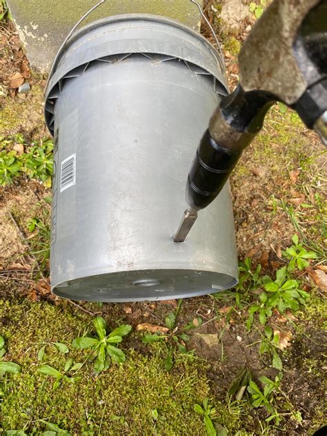 A Girl And Her Compost Beauty Among Us