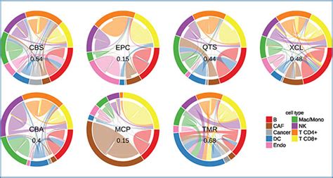 Immunedeconv An R Package For Unified Access To Computational Methods For Estimating Immune