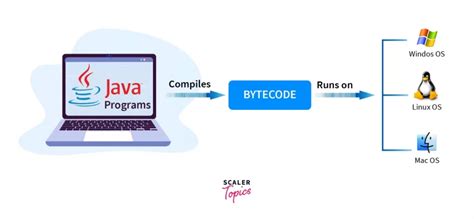 Difference Between C And Java Scaler Topics